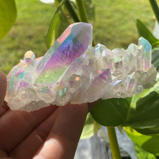 Wholesale Crystal Club
